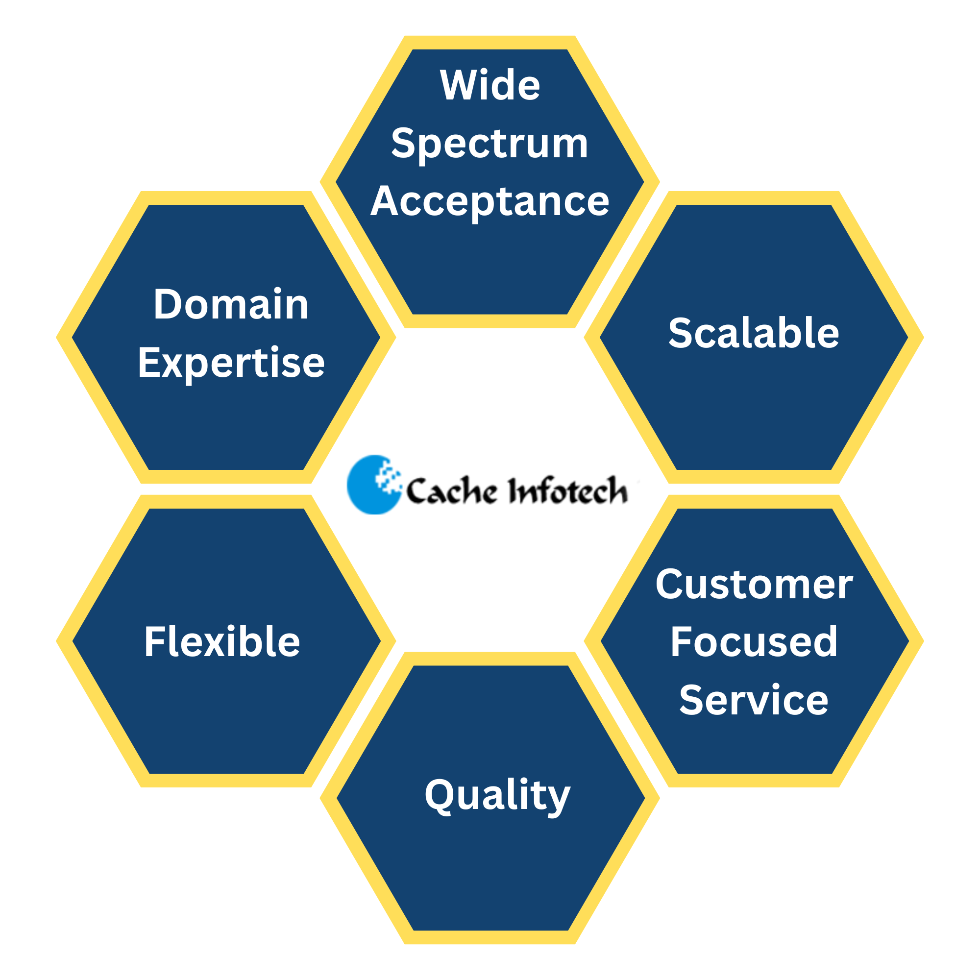 Home [www.cacheinfotech.com]